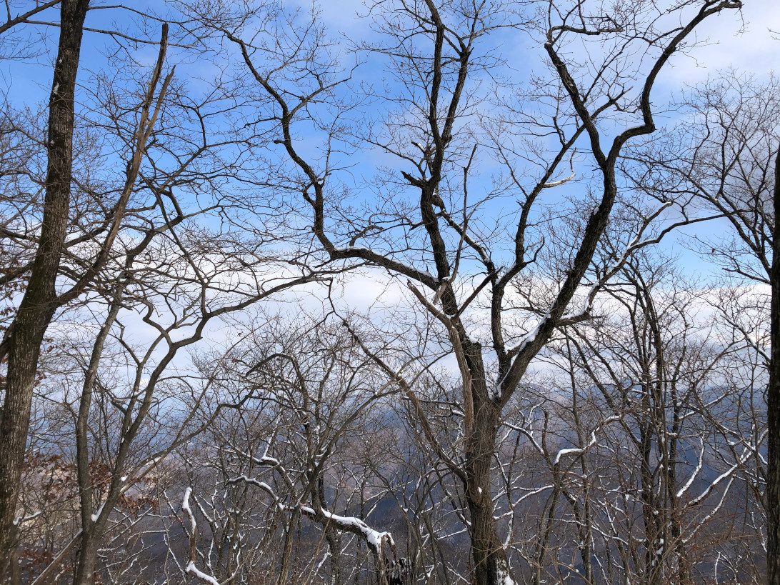 Woraksan National Park, Chungju, South Korea • The Little Veggie Korean